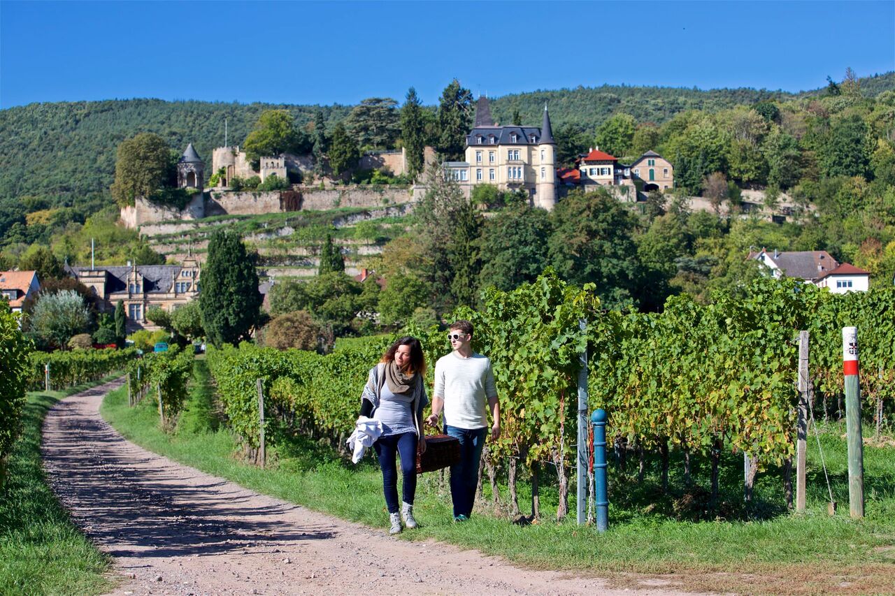 Neustadt An Der Weinstra e